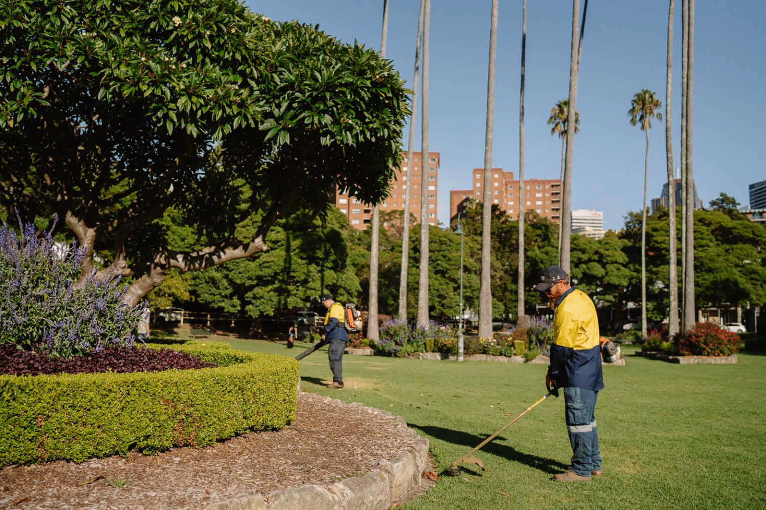 Open Spaces to Inspired Places | WEM Scape