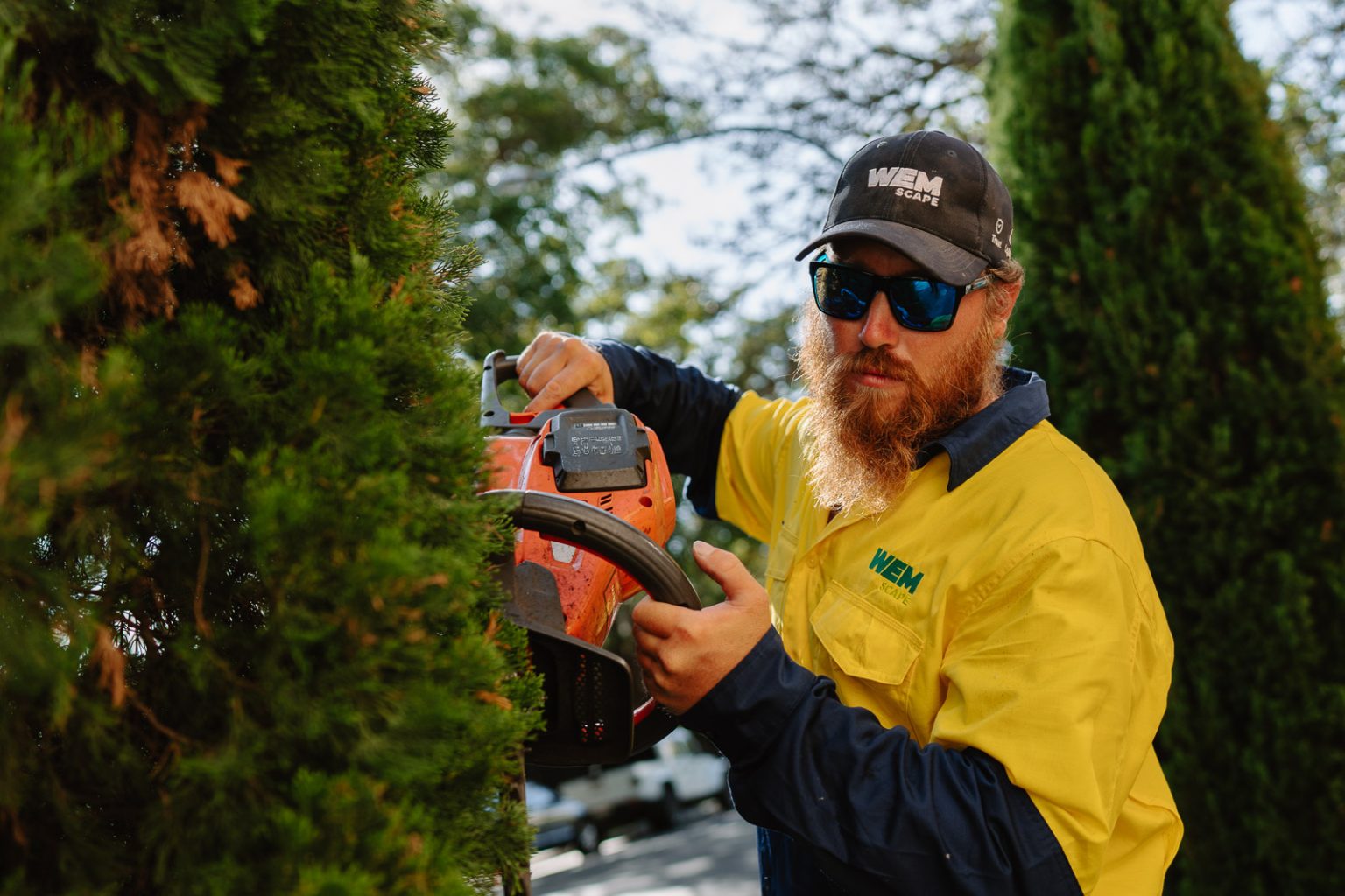 Open Spaces to Inspired Places | WEM Scape